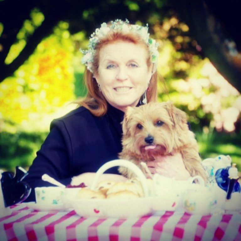 Le chien de Sarah, duchesse d’York – Noblesse & Royautés Le chien de Sarah, duchesse d’York – Noblesse & Royautés