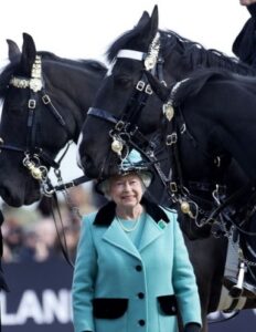 Le duc d’Edimbourg au concours d’attelage au Royal Windsor Horse Show ...