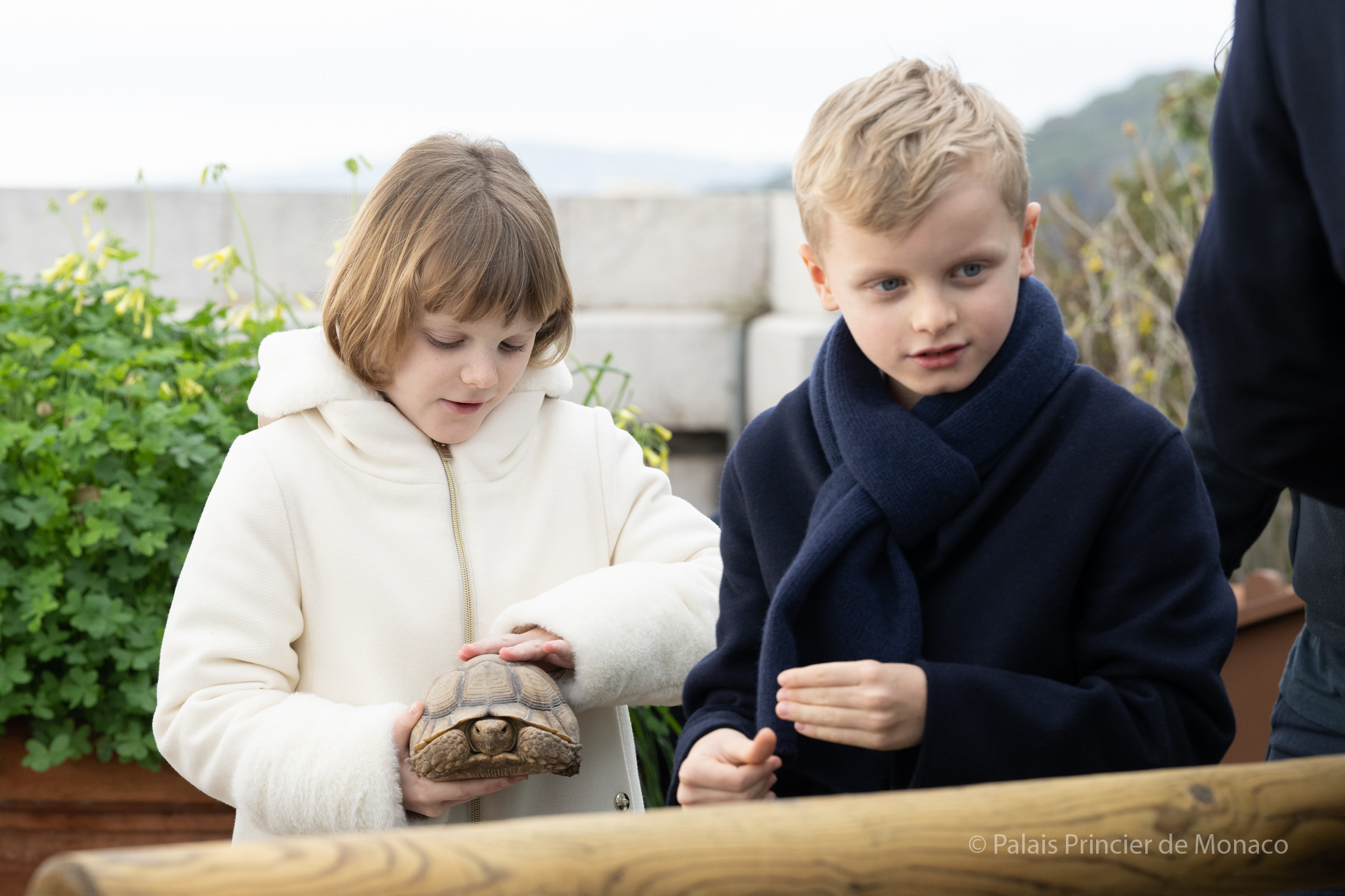 Jacques et Gabriella de Monaco au conditionnement de tortues juvéniles ...